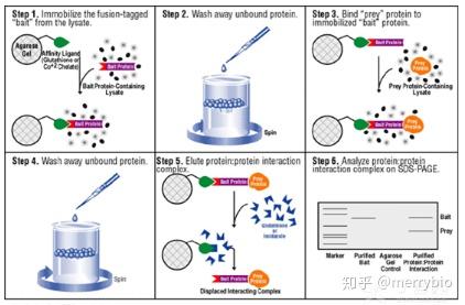 pull-down、ip、co-ip以及chip概念区别 - 知乎