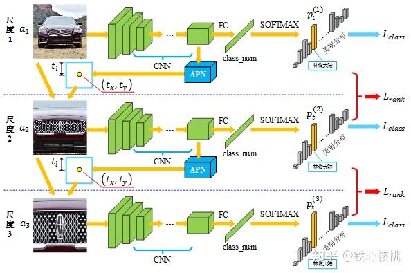 用于细粒度分类的循环注意力——RA-CNN - 知乎