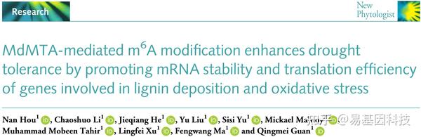 作物育种：MdMTA介导的RNA甲基化(m6A修饰)在苹果抗逆品种选育中的作用研究 - 知乎