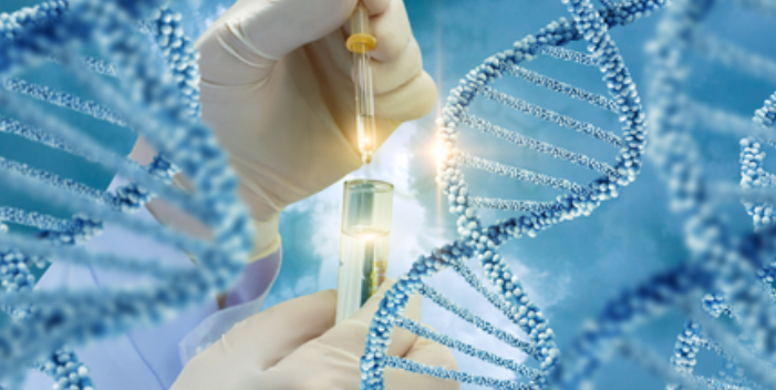 Nat. Commun. | 基于异构图Transformer的单细胞生物网络推理 - 知乎