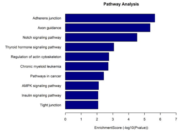 5fC DNA甲酰基胞嘧啶测序 - 知乎
