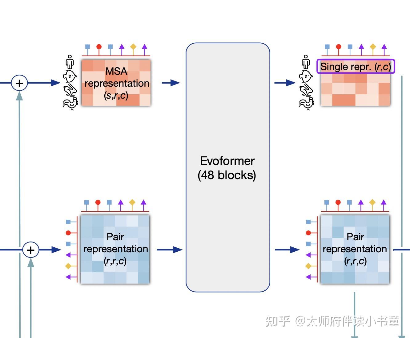 GoDeep系列（十）：AlphaFold 2模型结构拆解（框架） - 知乎