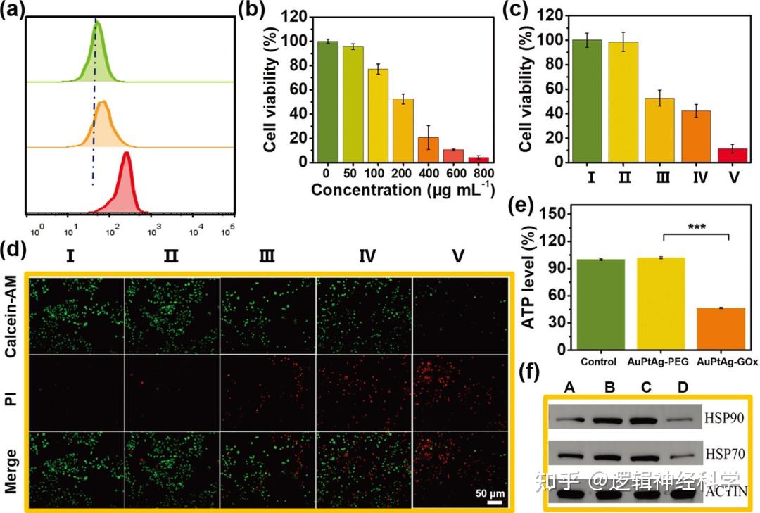 Adv Sci︱中科院长春应化所林君/山东大学李春霞团队合作发现贵金属纳米酶AuPtAg-GOx通过饥饿治疗增强温和光热治疗诱导协同的肿瘤免疫治疗 - 知乎