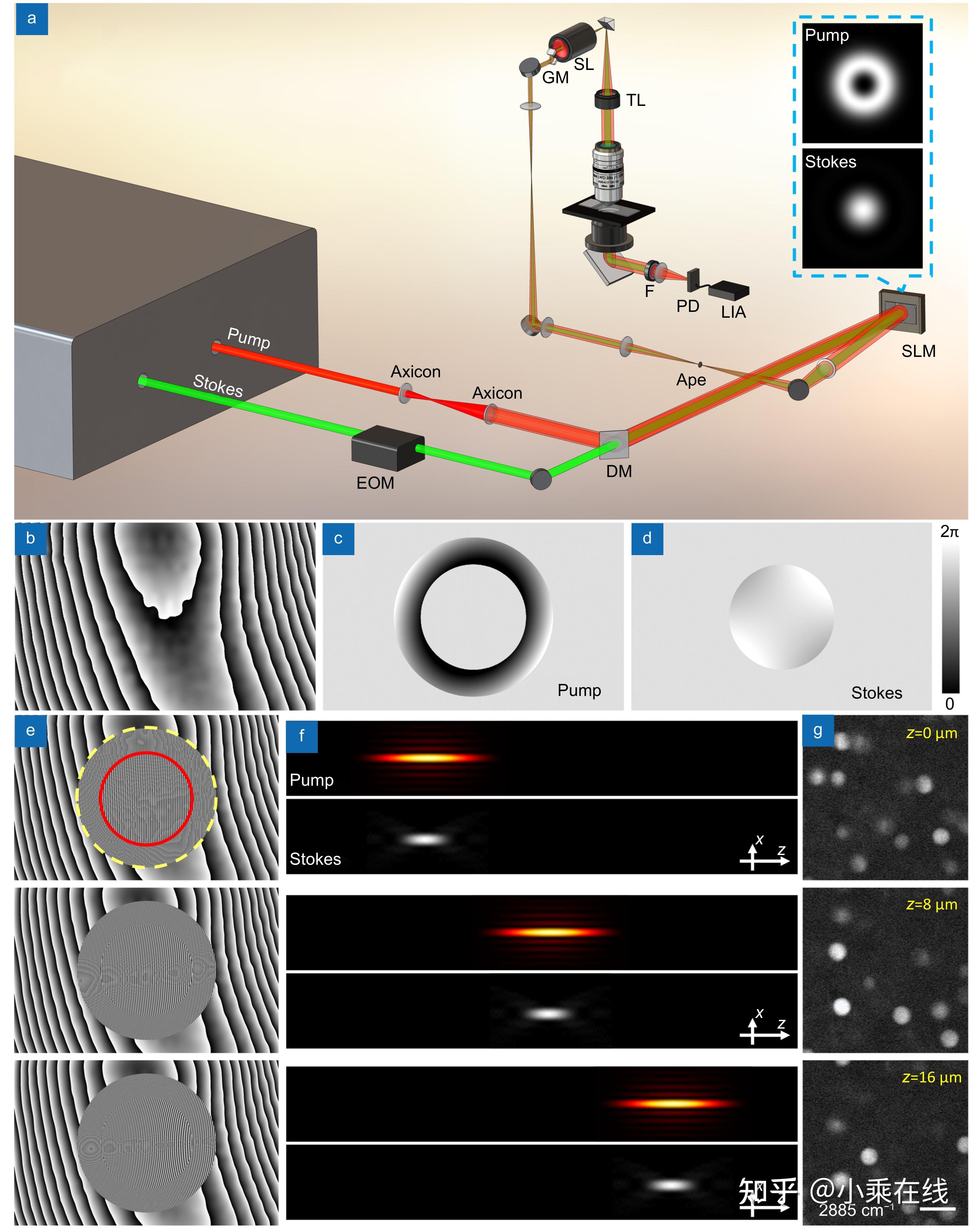Stimulated Raman scattering microscopy with phase-controlled light ...