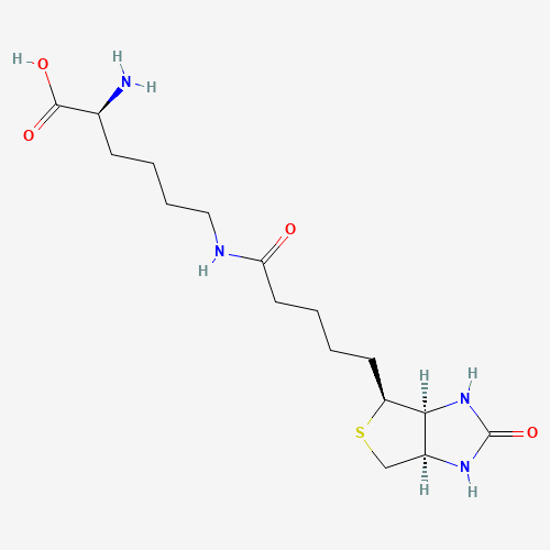 Biocytin (生物胞素)；多功能标记物 - 知乎