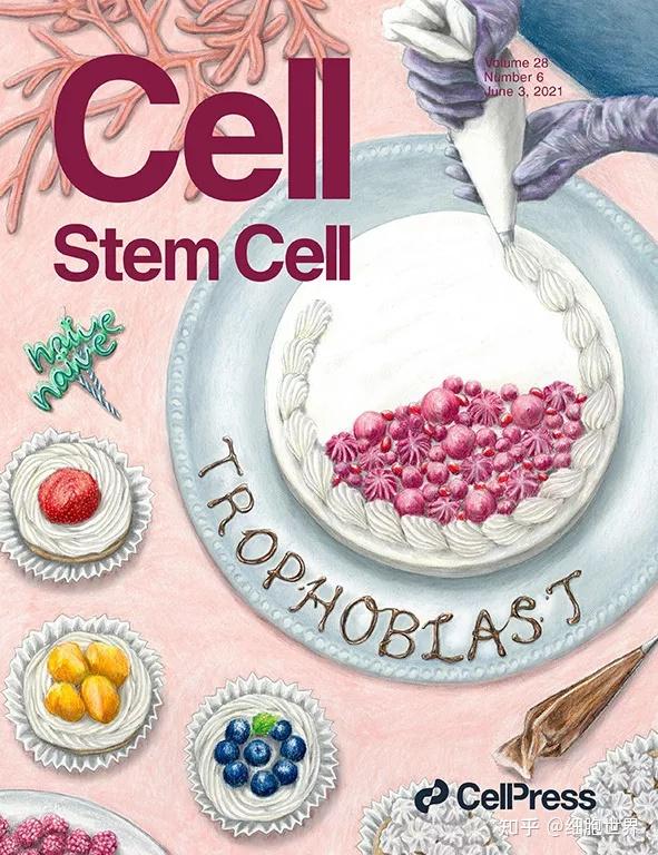 2021年6月，这些研究登上Cell Press期刊封面！ - 知乎