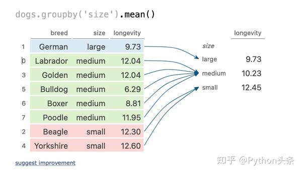 最强Python Pandas学习神器来了 - 知乎