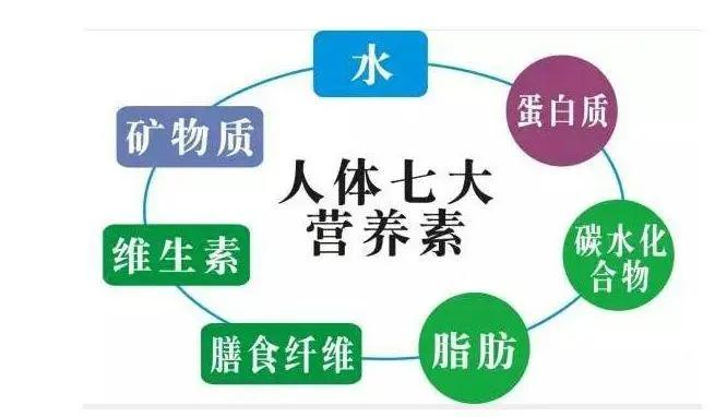 人体必需的七大营养素有哪些? 知乎