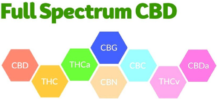什么是全谱CBD (Full Spectrum CBD) - 知乎