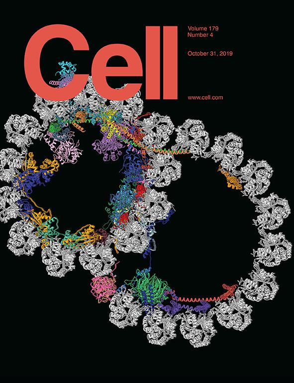 科学与艺术的结合！《CELL》100+张期刊封面鉴赏｜2019年篇 - 知乎