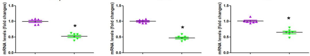 手把手教你用 Graphpad 玩转t检验！实现SCI统计配图自由 - 知乎