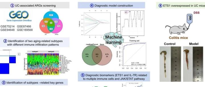 非肿瘤研究新思路大放送！“衰老”遇上“WGCNA”与“机器学习”，搭配简易实验，2区SCI轻松解锁！ - 知乎