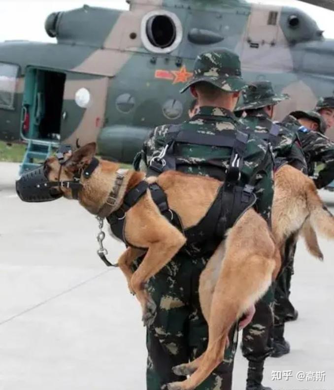 解放军的15个特战旅，战斗力到底有多强悍？ - 知乎