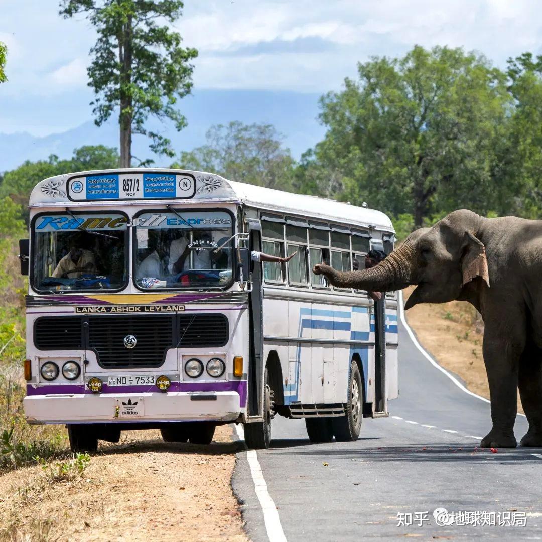 斯里兰卡这个国家怎么样？安全么？ - 知乎