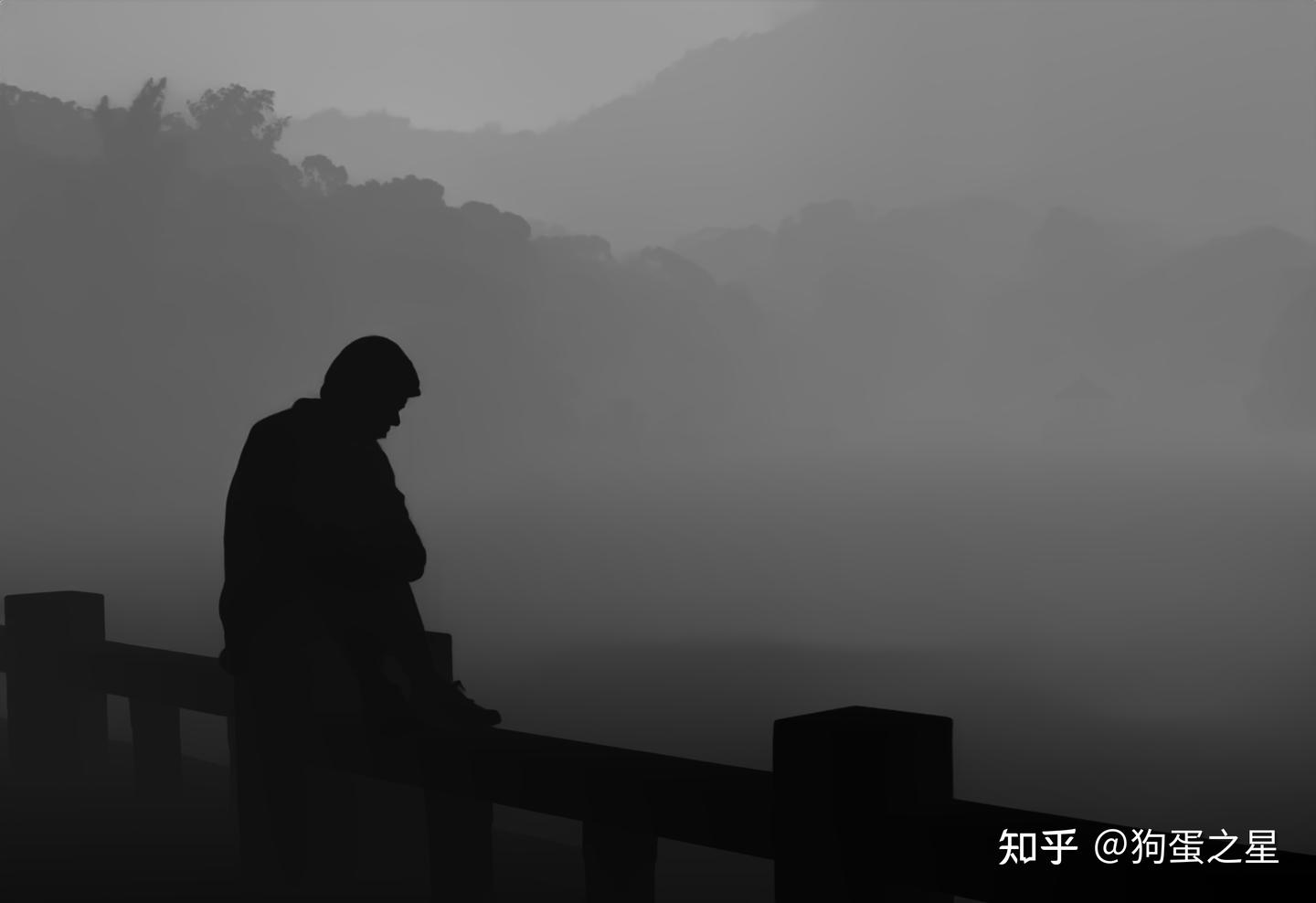 测评当前最强的单目深度估计模型--DepthPro（2025） - 知乎