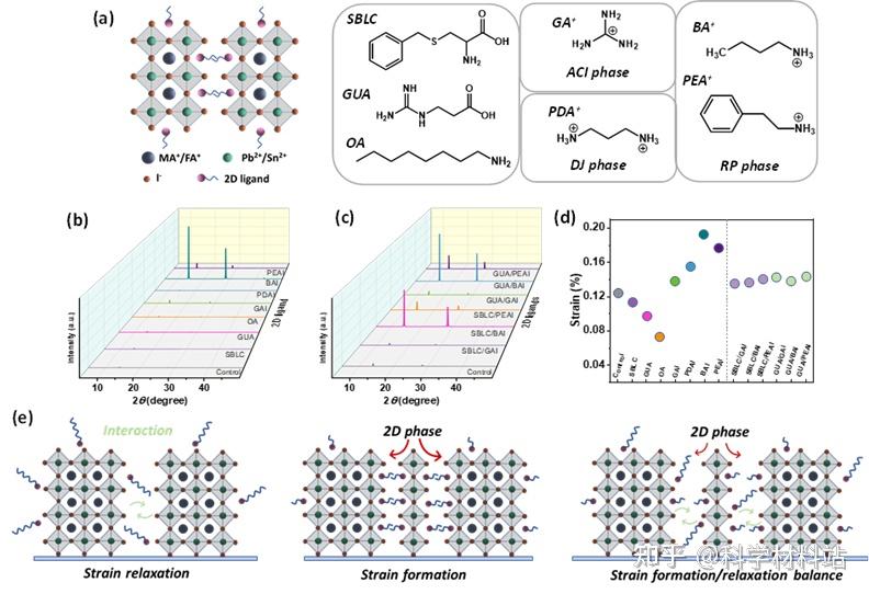 德国Christoph J. Brabec教授最新AFM：二维配体对窄带隙Pb/Sn钙钛矿薄膜晶体应力和器件能量损失的影响 - 知乎