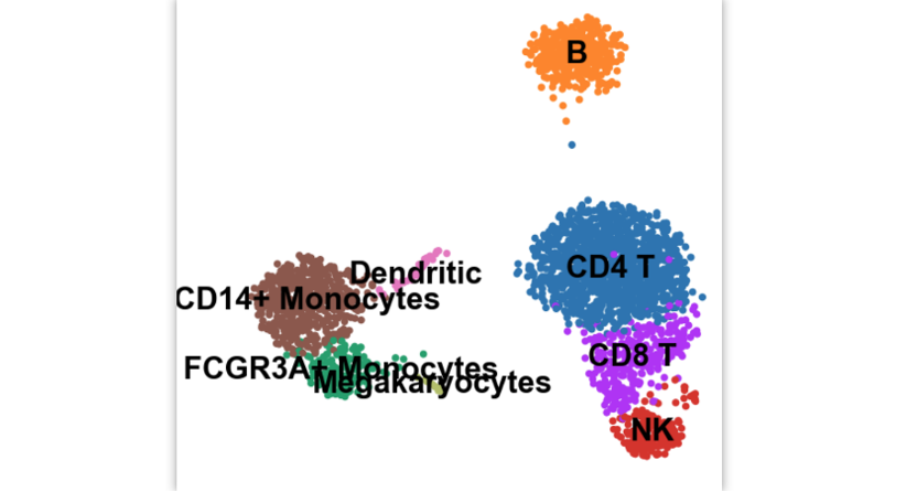 使用CellTypist完成细胞类型的自动注释 - 知乎