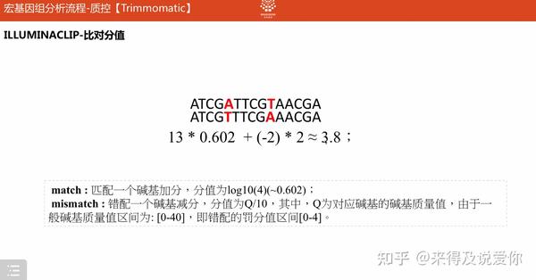 宏基因组分析流程实操理论 - 知乎