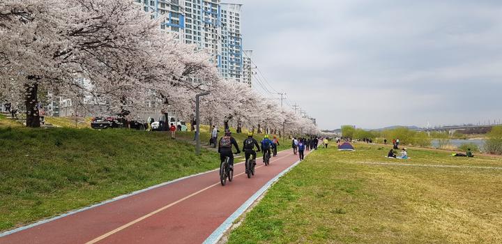 英语中表示“沿着”的介词——along、along with、alongside - 知乎