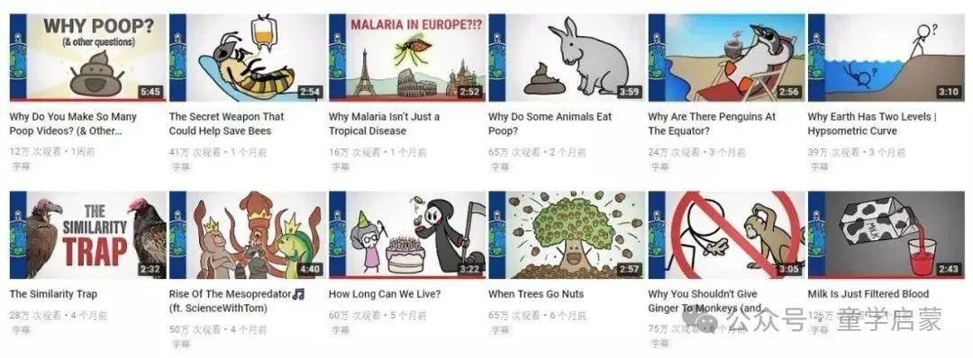 YouTube爆款科普动画MinuteEarth~用动画讲透地球奥秘 - 知乎