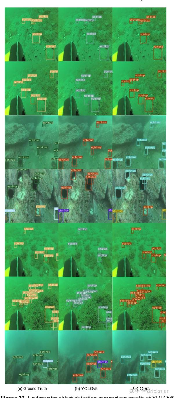 文献阅读：An Improved YOLOv5-Based Underwater Object-Detection Framework（2023） - 知乎