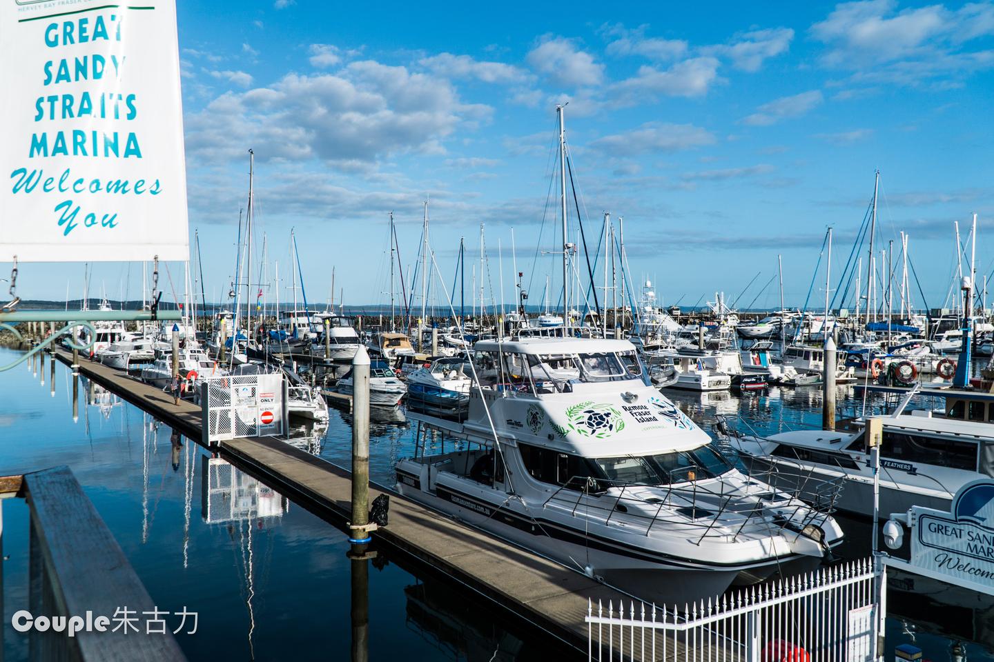我们去了澳洲最好的观鲸地点寻找座头鲸的身影.. - 知乎