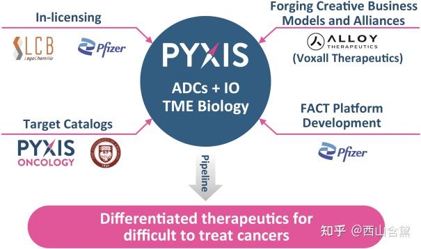 国内外知名企业ADC技术平台(第十三期)-Pyxis Oncology - 知乎