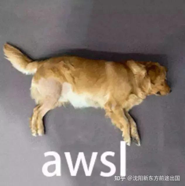 “绝绝子”“yyds”“emo了”？这些互联网“黑话”我受够了！ - 知乎