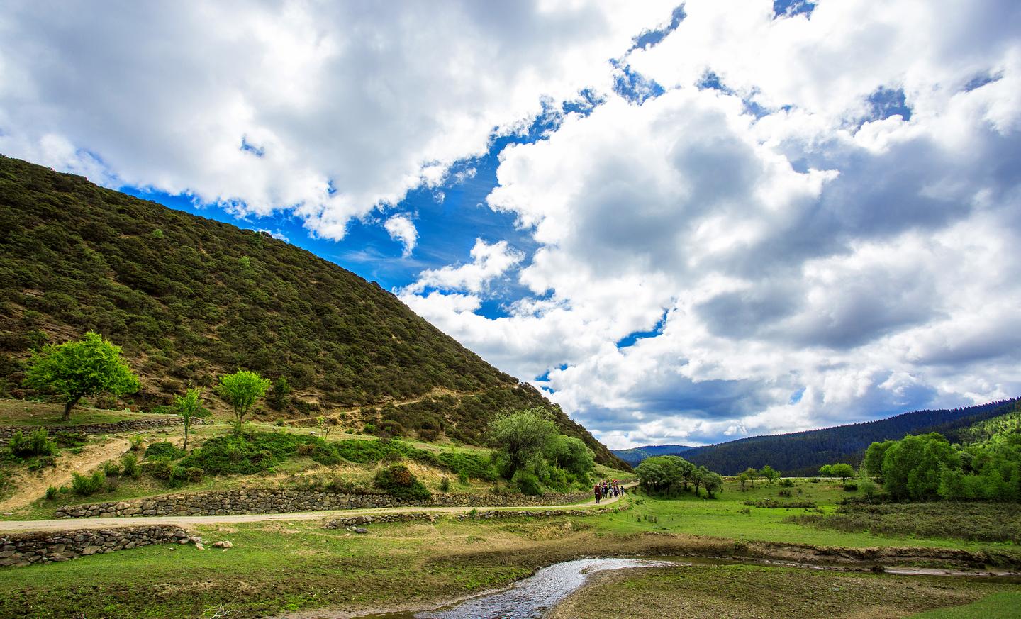 5. Gremlin Console - 知乎