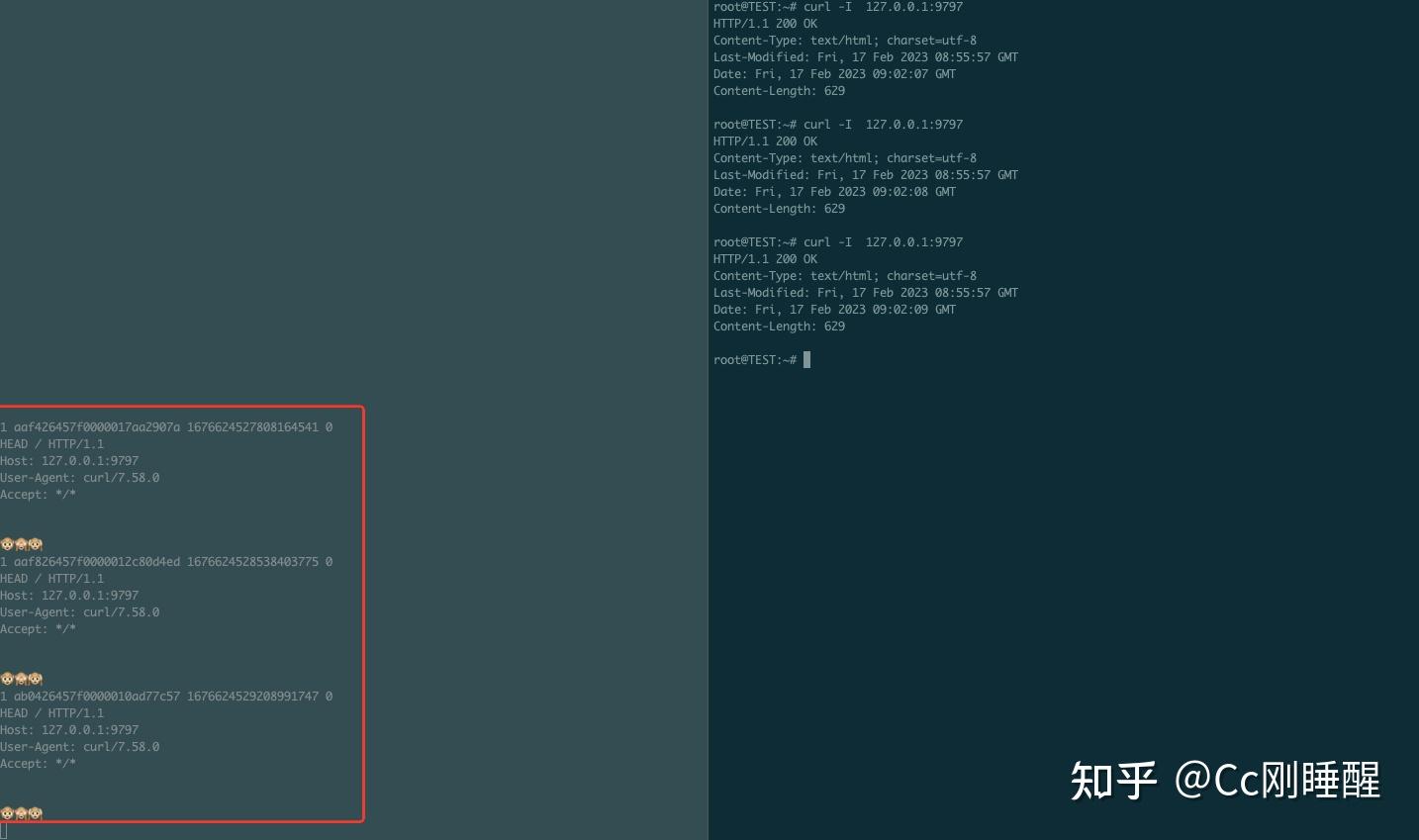 流量复制之GoReplay - 知乎