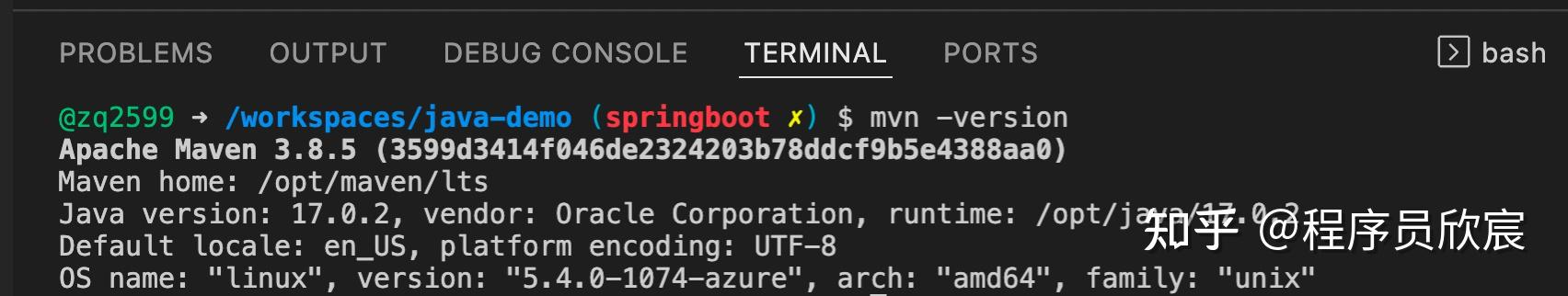 浏览器上写代码，4核8G微软服务器免费用，Codespaces真香 - 知乎