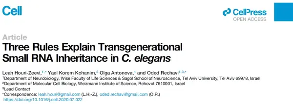 Cell | 线虫小RNA跨代遗传的性状分离机制 - 知乎