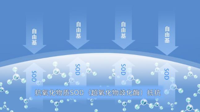 SOD概述及在食品行业中的作用 - 知乎