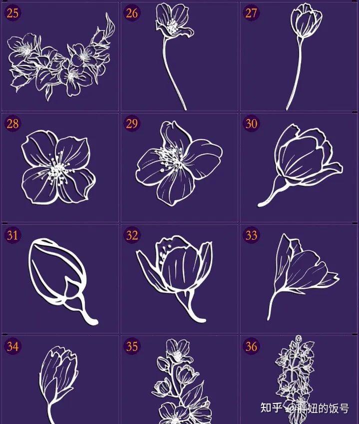 PS+procreate各种绝美花卉线稿笔刷 - 知乎
