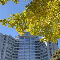 NS3与物理网络连接（TapBridge与FdNetDevice） - 知乎