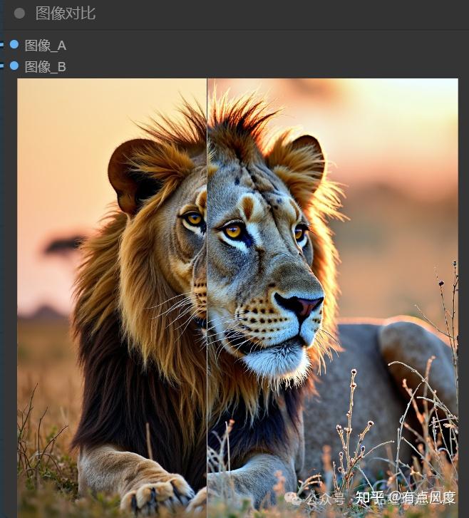 【closerAI ComfyUI】这个节点不得了！竟然能守护FLUX细节？FLUX细节守护我们一起来了解一下吧！十分有用 - 知乎
