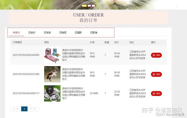 基于Java+SpringMVC+vue+element宠物管理系统设计实现 - 知乎
