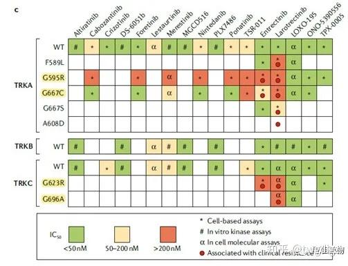 施一公又要火了！中国自主研发的二代TRK抑制剂ICP-723获批临床！ - 知乎