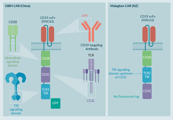 Cocoon® Magsep 磁分选工艺使用指南与客户案例分享 - 知乎