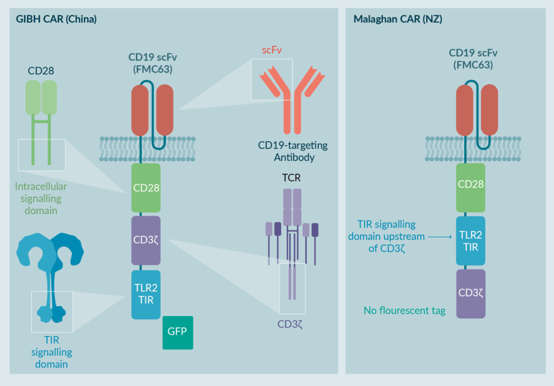 Cocoon® Magsep 磁分选工艺使用指南与客户案例分享 - 知乎