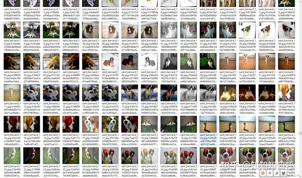 【目标检测数据集汇总】YOLO txt格式各种数据集 - 知乎