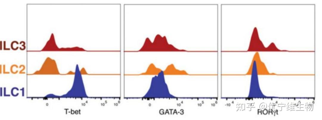 人先天淋巴细胞免疫分型 - 知乎