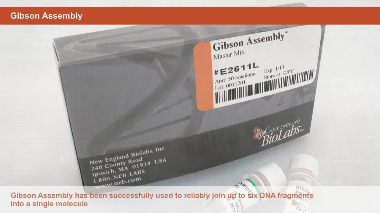 你每天用到的Gibson组装，你真的弄懂了吗？ - 知乎