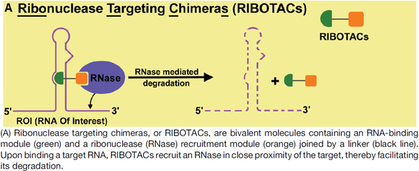 PROTAC外的其它双功能分子 - 知乎
