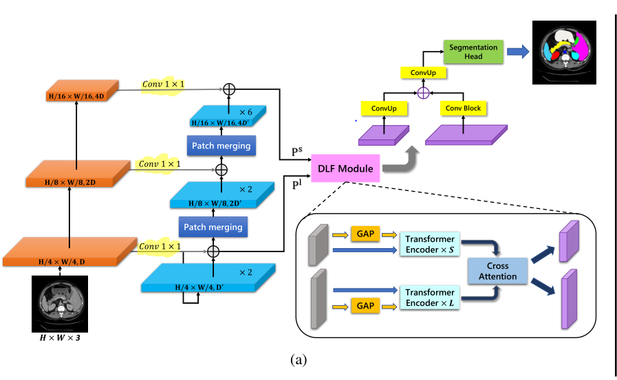 HiFormer: Hierarchical Multi-scale Representations Using Transformers for Medical Image ...