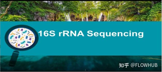 16s rRNA 分析 - 知乎