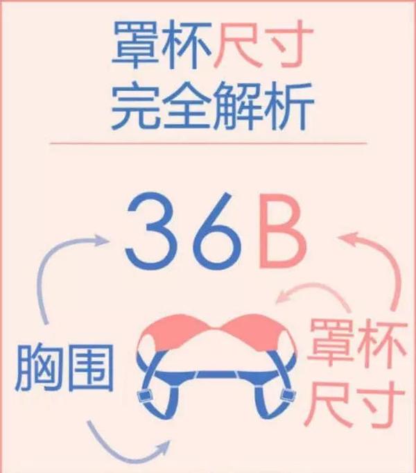 关于罩杯那点事儿 - 知乎