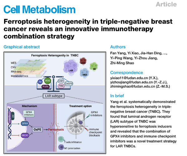 Cell Met｜三阴性乳腺癌铁死亡异质性揭示一种创新的免疫治疗组合策略 - 知乎