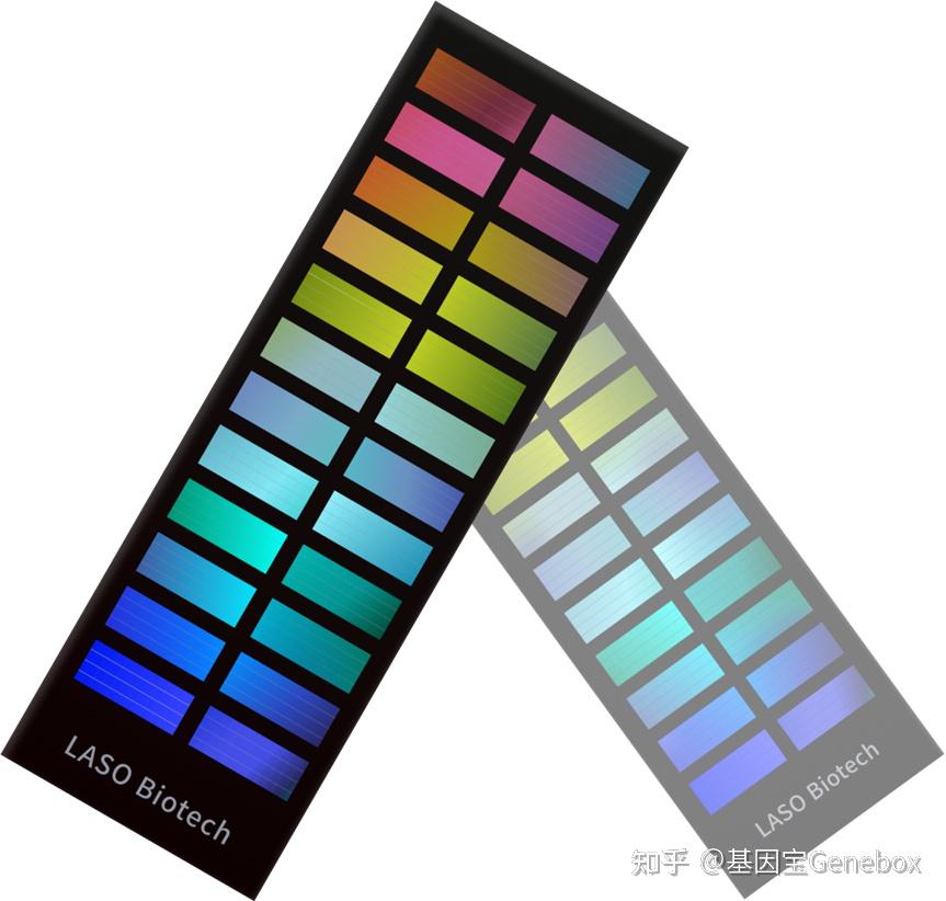 SNP检测怎么选？一文理清SNP基因分型常用技术手段 - 知乎