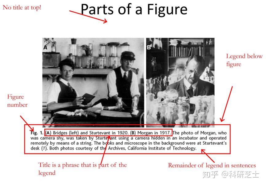 SCI写作专题第六期：Figure图 - 知乎